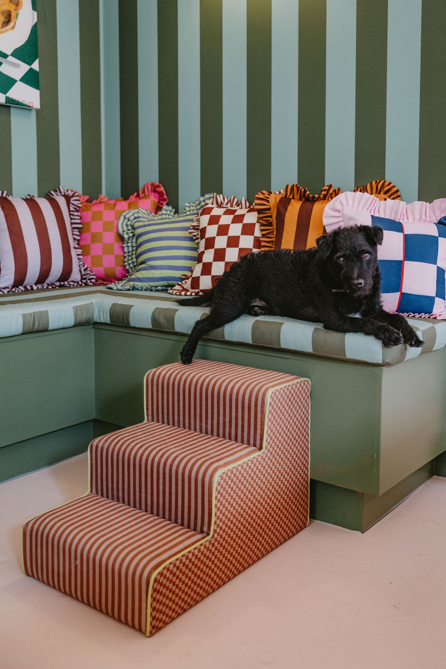 Bespoke Pet Steps – coloursofarley